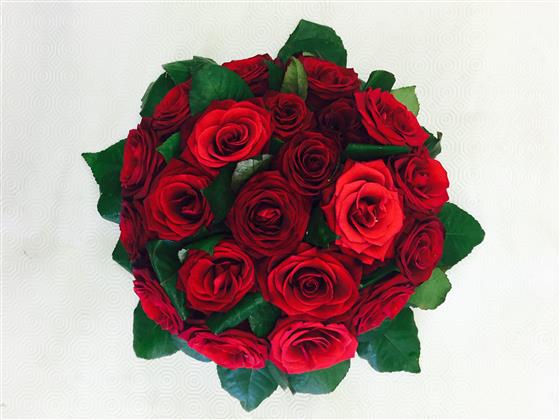 Posy of Red Roses Flowers by Cherie Reading Florist